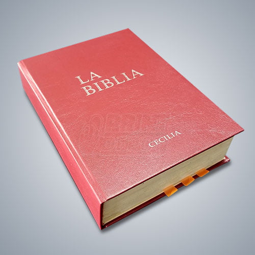 ¿Que es ploteo y plotear? - PRINT DEPOT NI